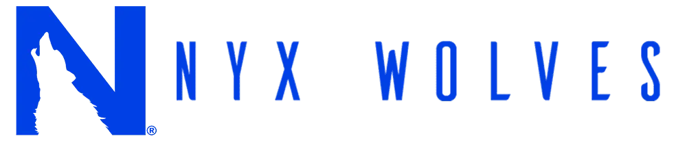 Custom Software & App Development Company For Business- Nyx Wolves